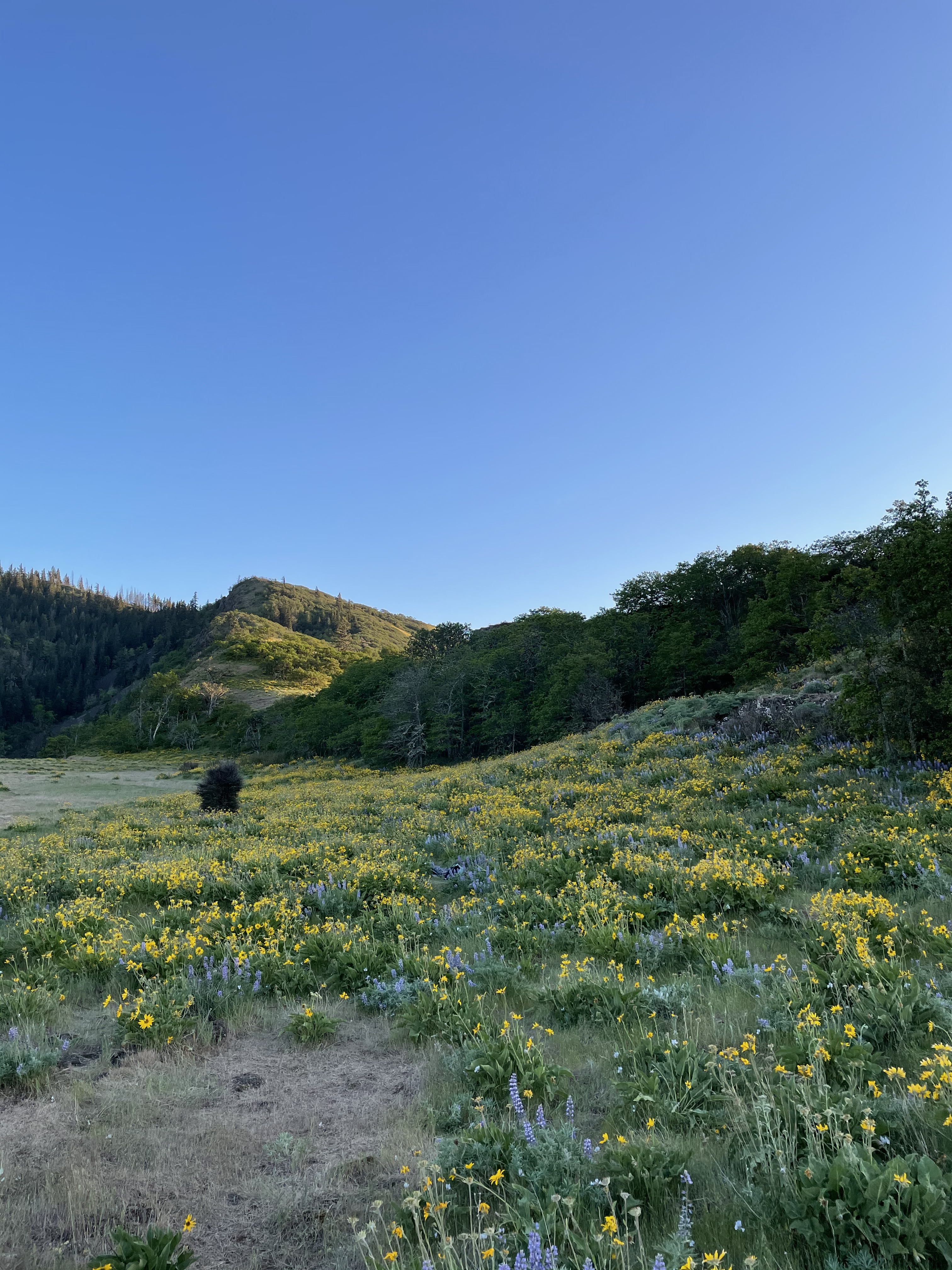 Type 2 Fun: Oregon’s Year-Round Hidden Gems – Kayla Magura's Blog