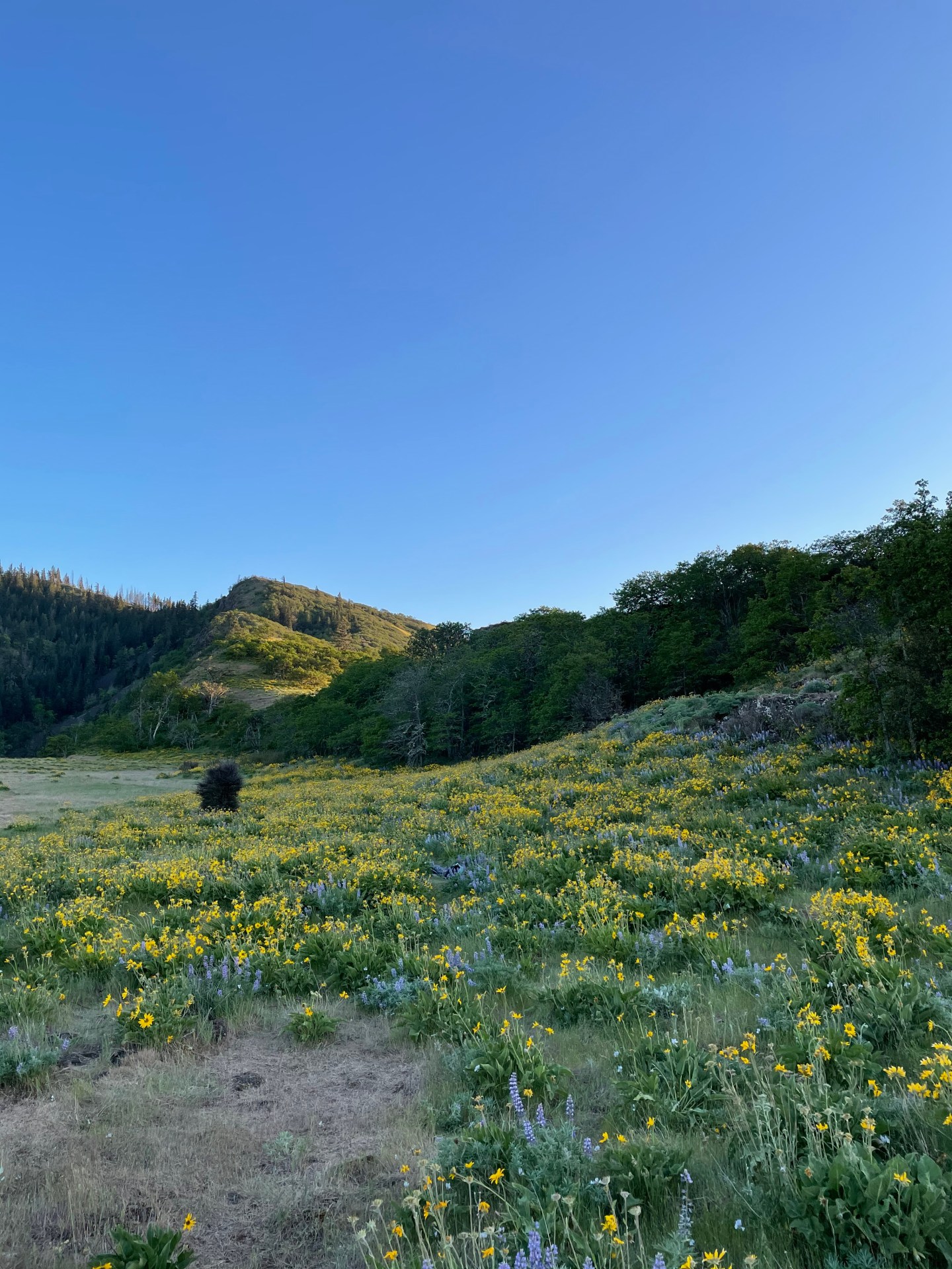 Type 2 Fun: Oregon’s Year-Round Hidden Gems – Kayla Magura's Blog
